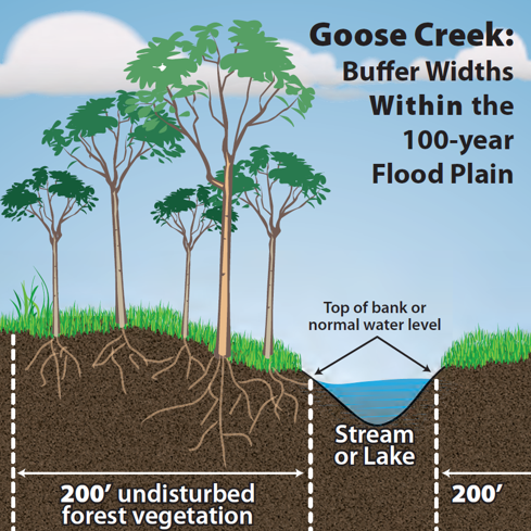 Riparian Buffer Rules Education and Outreach | NC DEQ